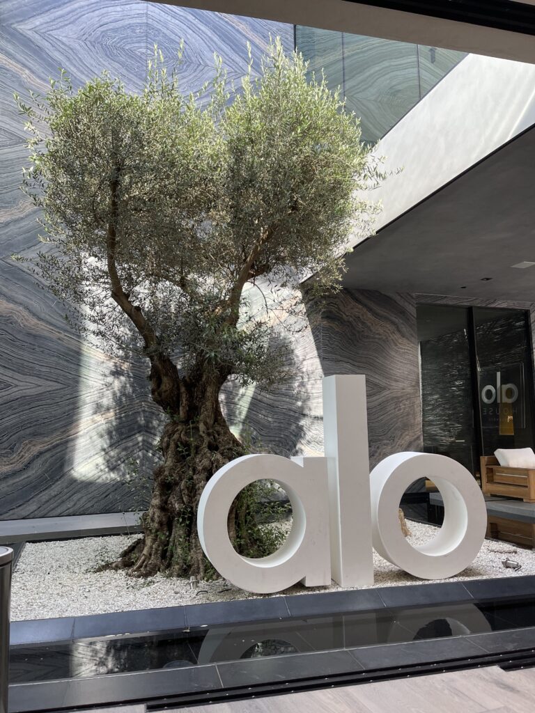 What We Do | Disciple Built